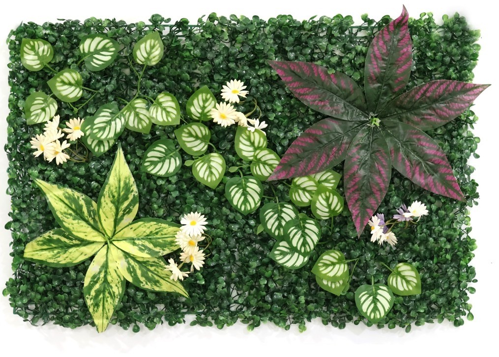 Order Vertical Garden Ag online in Hyderabad